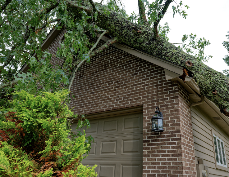 Tree Damage Roof Repair Services - Expert Help by Tuff Roof Experts